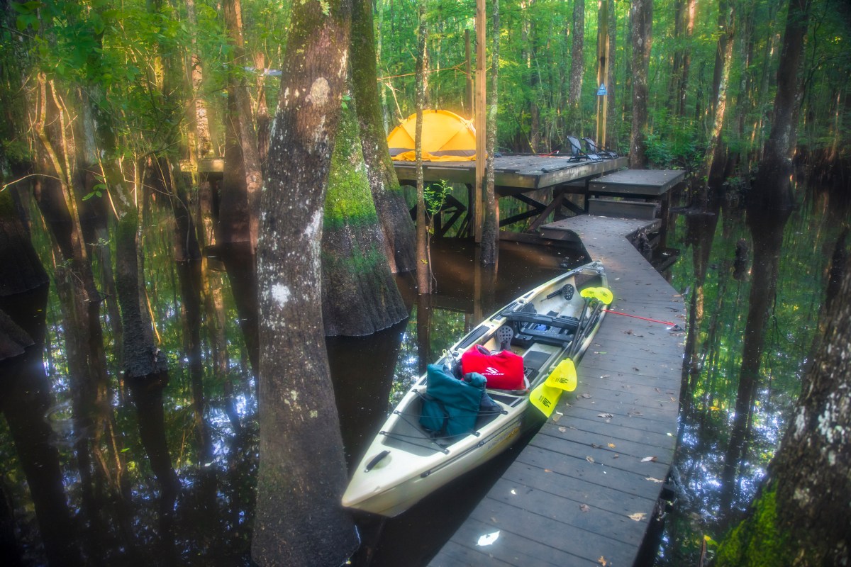 Roanoke River Camping Platforms – Exploring NC